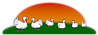 Vermont Naturally-raised Turkeys and Chickens - Healthy Poultry from ...