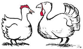 Vermont Free Range Turkeys and Naturally Raised Chickens - Poultry from ...