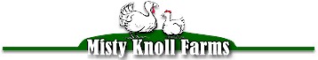 Vermont Free Range Turkeys and Naturally Raised Chickens - Poultry from ...