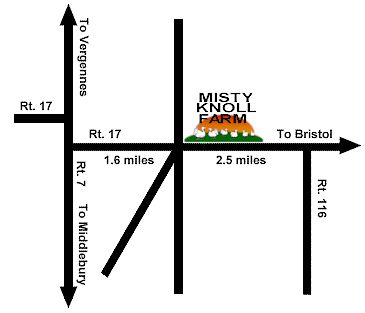 Vermont Free Range Turkeys and Naturally Raised Chickens - Poultry from ...